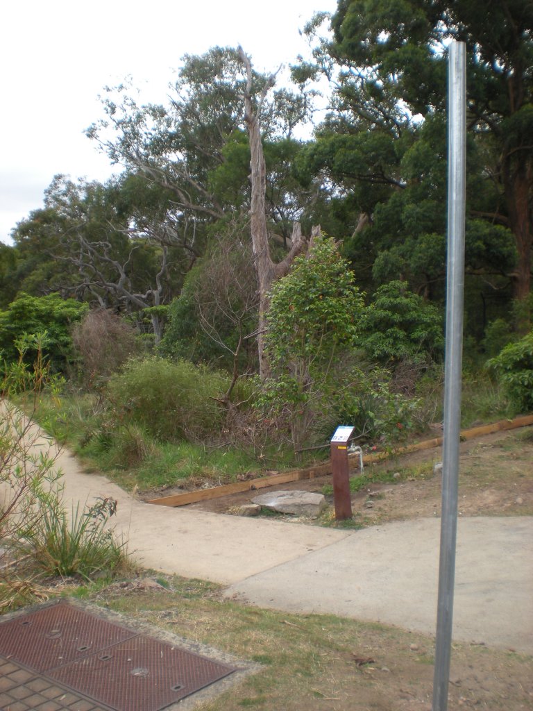 1840s | A History of Aboriginal Sydney